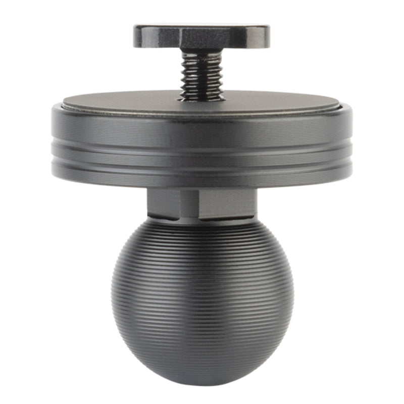 Backup Camera Monitor Mount & T-Bolt Adapter with 20mm Ball Mount ...