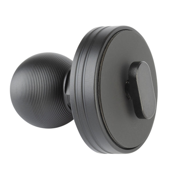 Backup Camera Monitor Mount & T-Bolt Adapter with 20mm Ball Mount ...