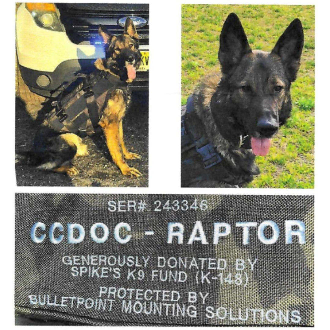 Supporting Veterans, Military and Law Enforcement - Bulletpoint ...